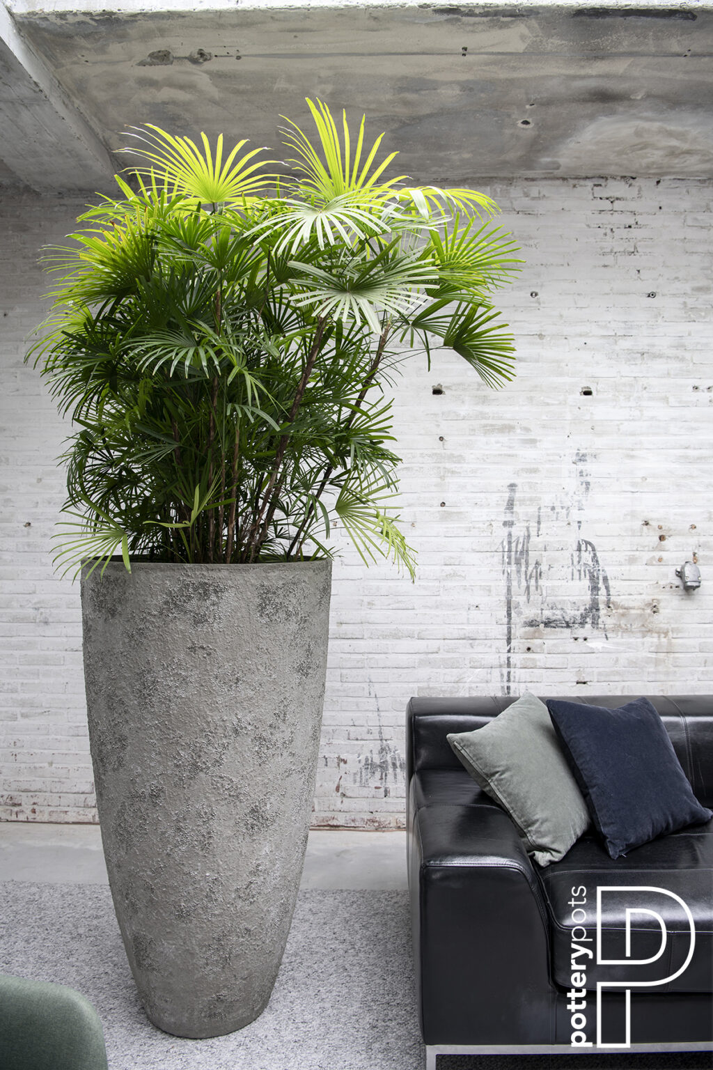 Plantekasser Hugo XXL – Unike og store varianter i frostsikker ...